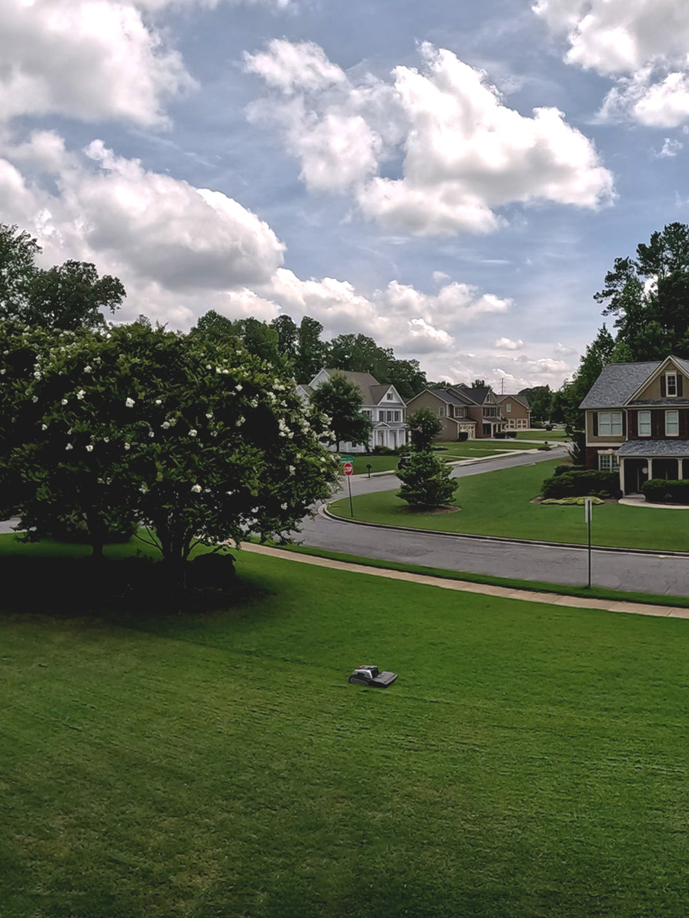Lymow One - Robotic Lawn Mower with Brain and Brawn